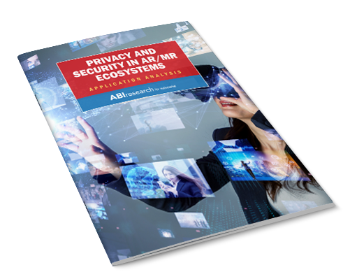 Privacy and Security in AR/MR Ecosystems