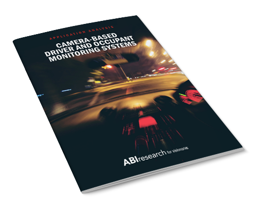 Camera-Based Driver and Occupant Monitoring Systems