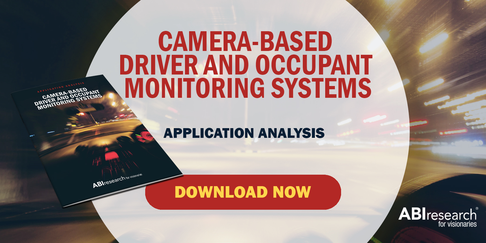 Camera-Based Driver and Occupant Monitoring Systems